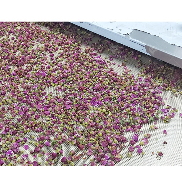 Everything you Need to Know About Microwave Lily Flower Drying and ...