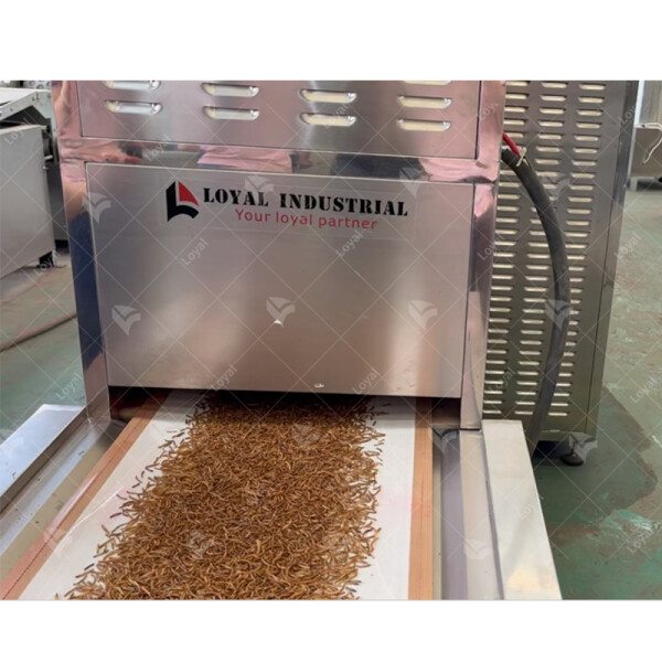 Insect and Bug microwave drying oven - Shandong Loyal Industrial Co.,Ltd.