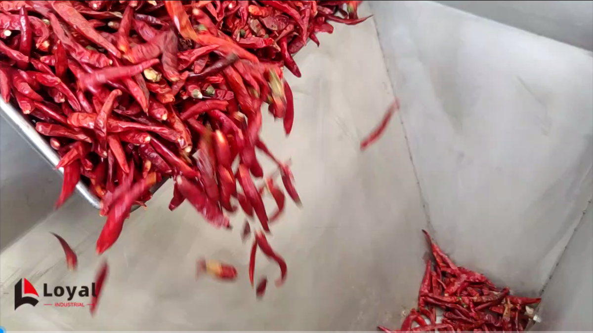 Microwave Fast Dry Sterilization Pepper - Shandong Loyal Industrial Co.,Ltd.