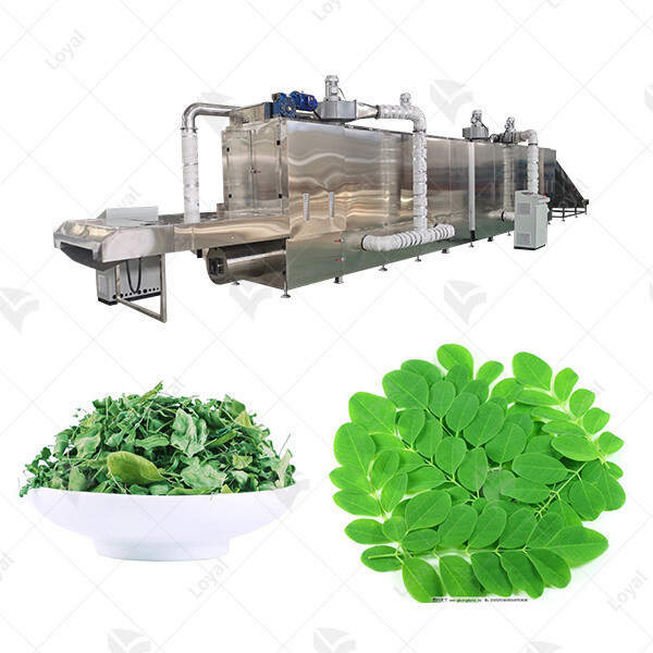 Everything you Need to Know About Automatic Industrial Net Belt Dryer ...